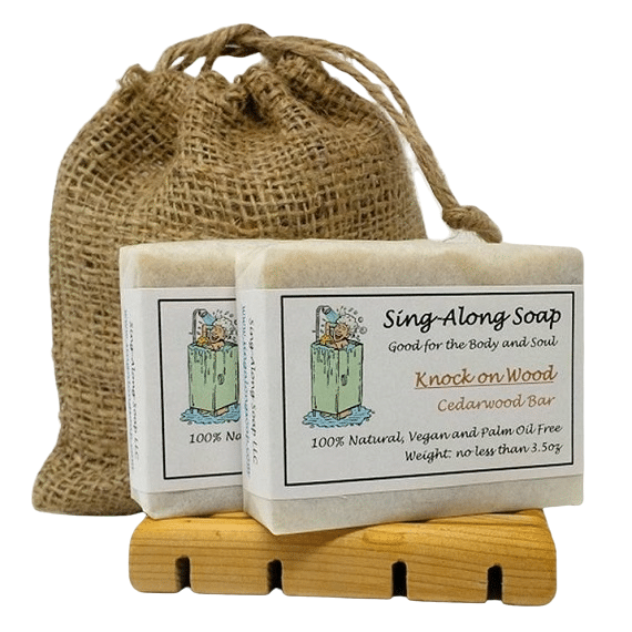 Sing-Along Soap – … because SINGING in the shower is a perfect way to ...