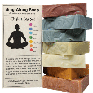 Sing-Along Soap – … because SINGING in the shower is a perfect way to ...